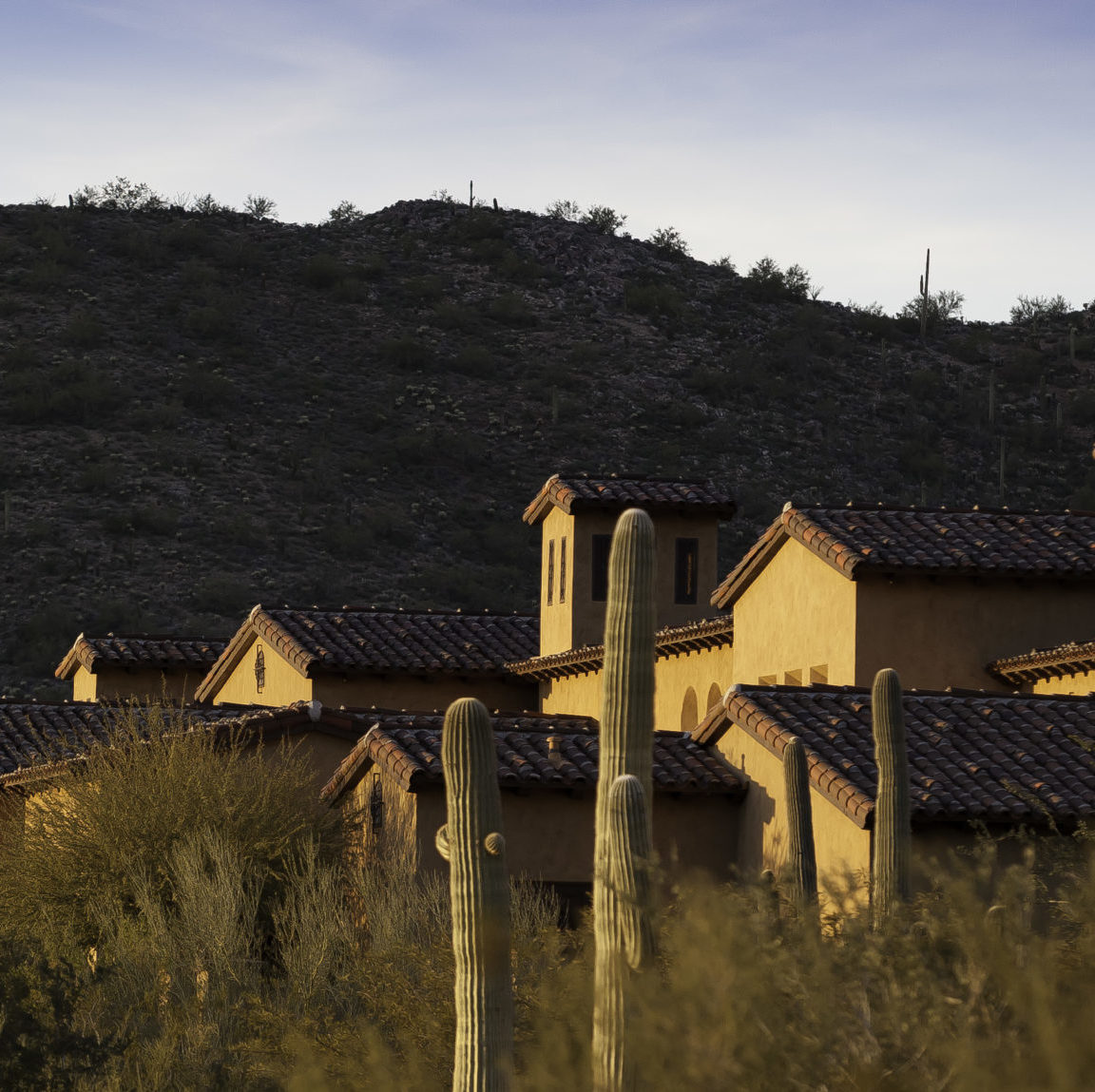 Community Management - DC Ranch