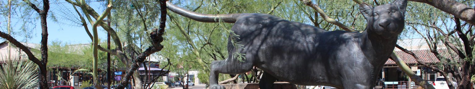 Community Management - DC Ranch