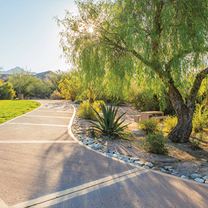 Visioning & Planning - DC Ranch