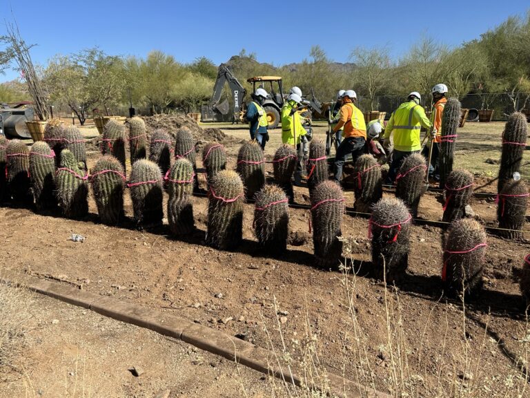 Desert Camp Site Improvement Project - DC Ranch
